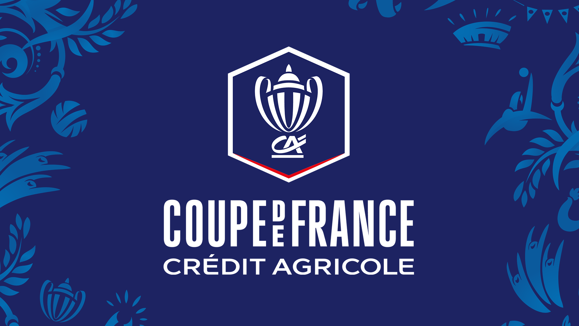 Coupe de France de football 2025-2026 : calendrier complet et résultats ...